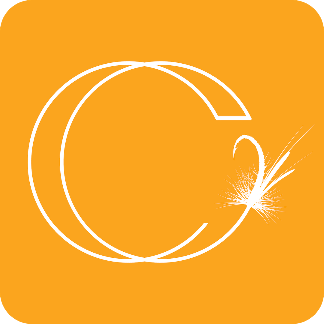 Contact Us - Caddis Capital Management